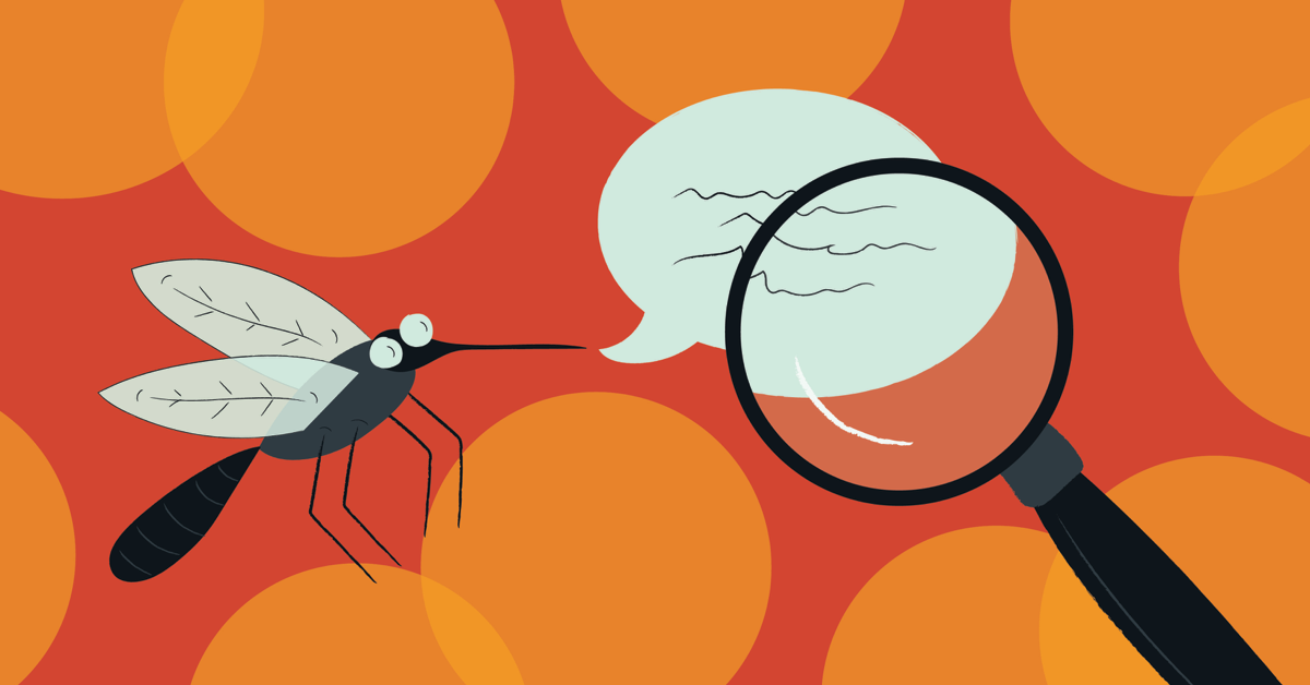 Insect Allergies: Understanding Skeeter Syndrome